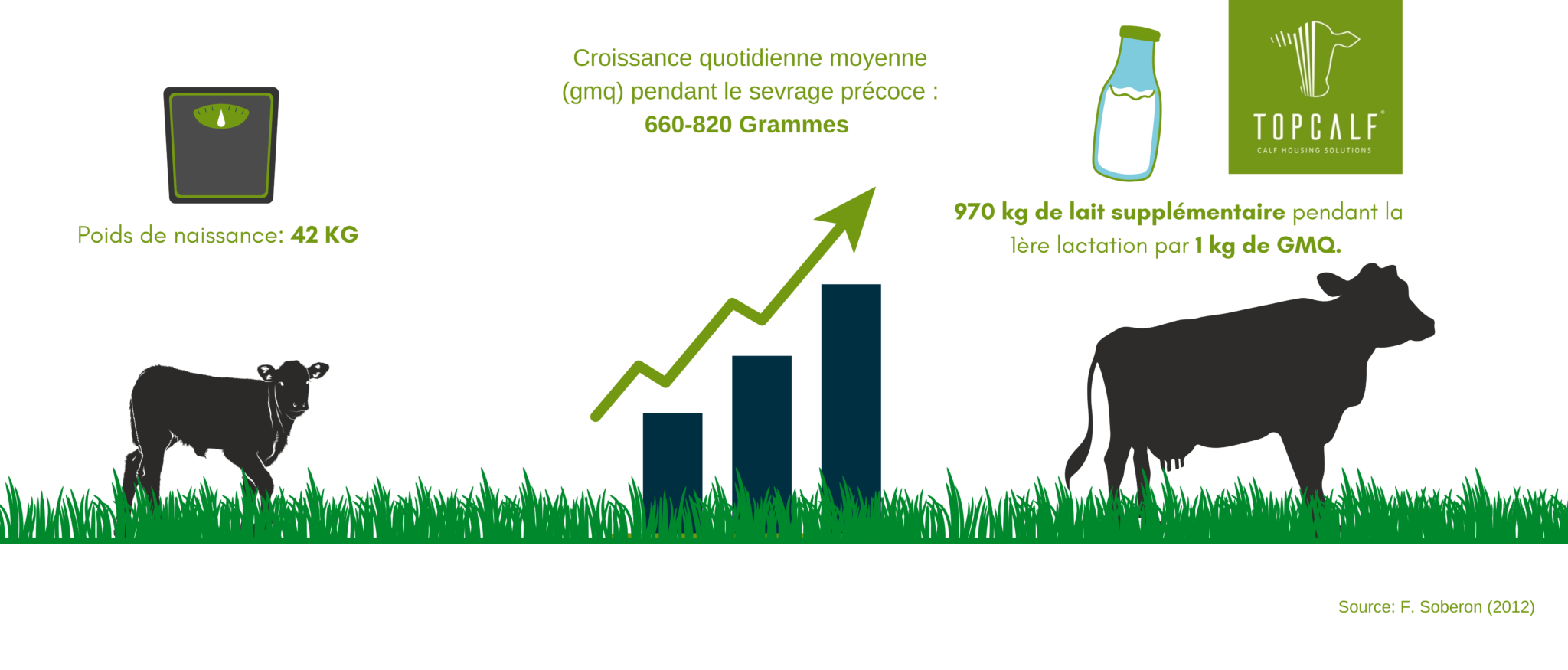 Potentiel de croissance des veaux dans les 8 premières semaines ! | Topcalf